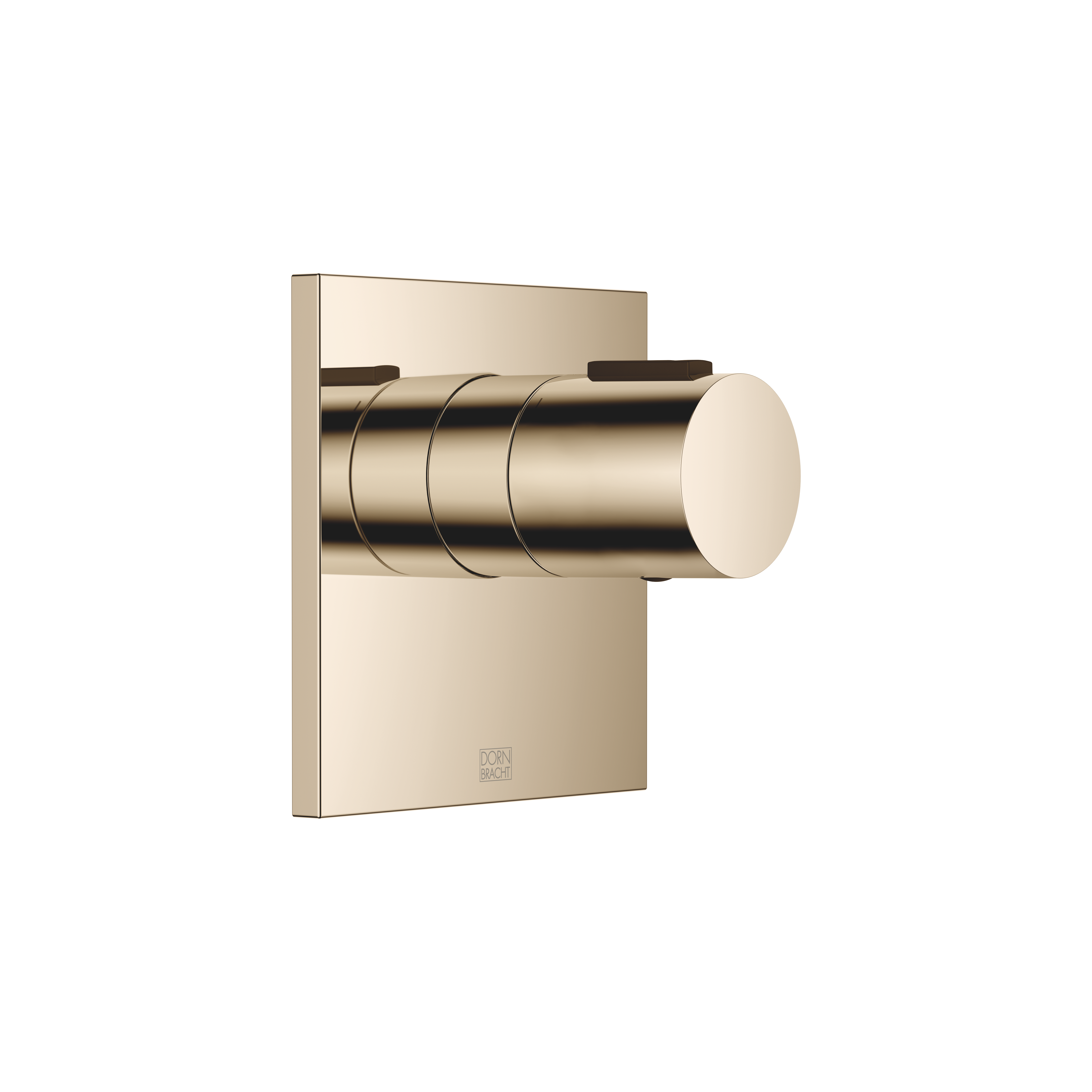 SERIES SPECIFIC Champagne (22kt Gold) : xTOOL Concealed thermostat ...