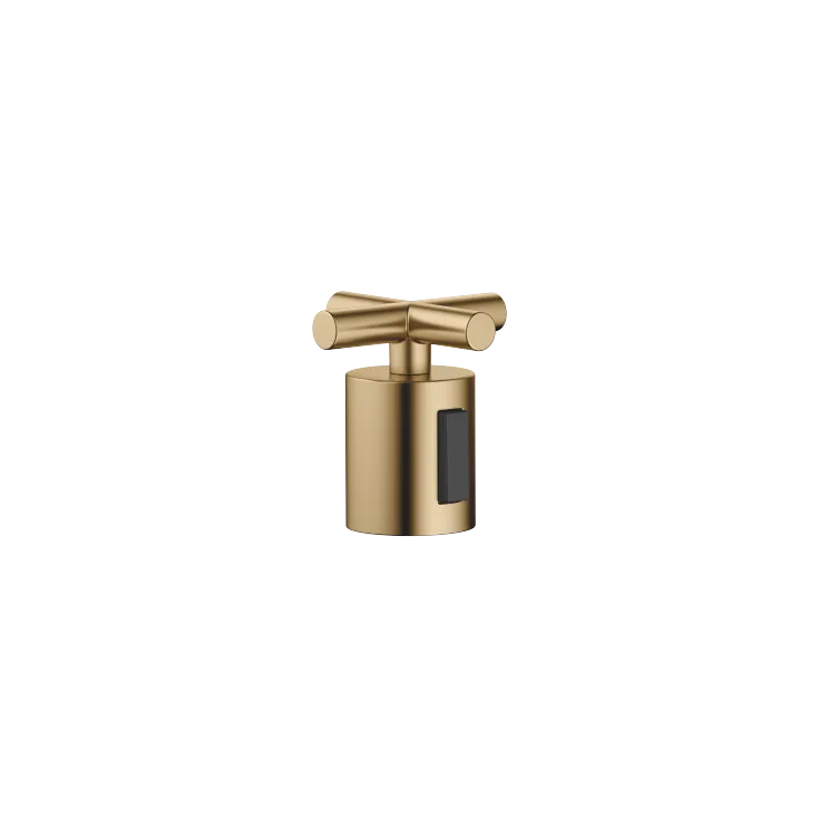 TARA Brushed Dark Brass (PVD) : Regulator handle
