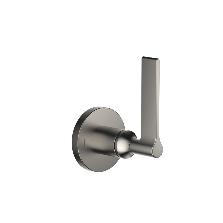 Vaia Brushed Dark Platinum Shower Faucets Concealed Two Way Diverter