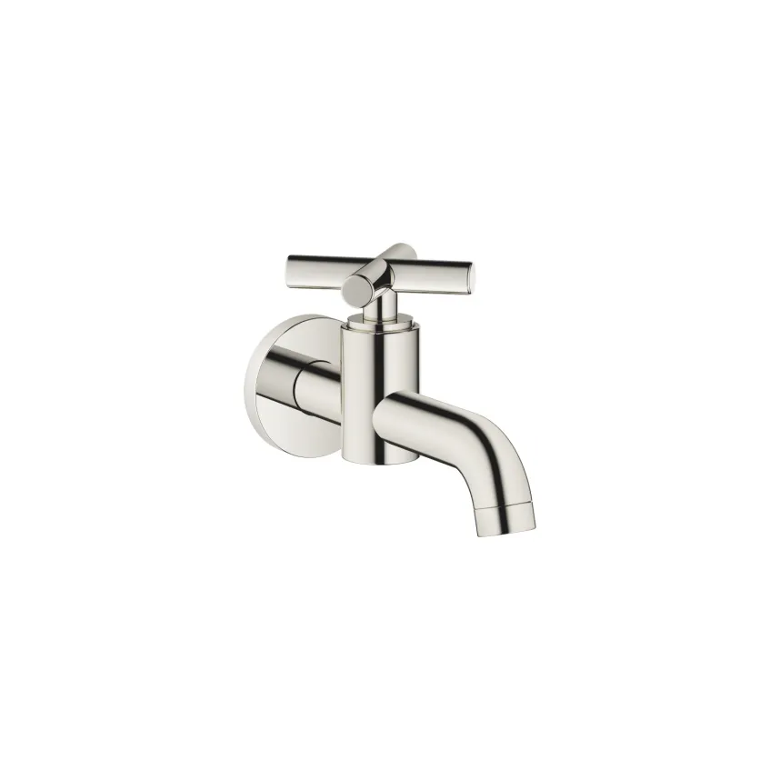 TARA Platinum Washstand faucets: Wall-mounted valve cold water without ...