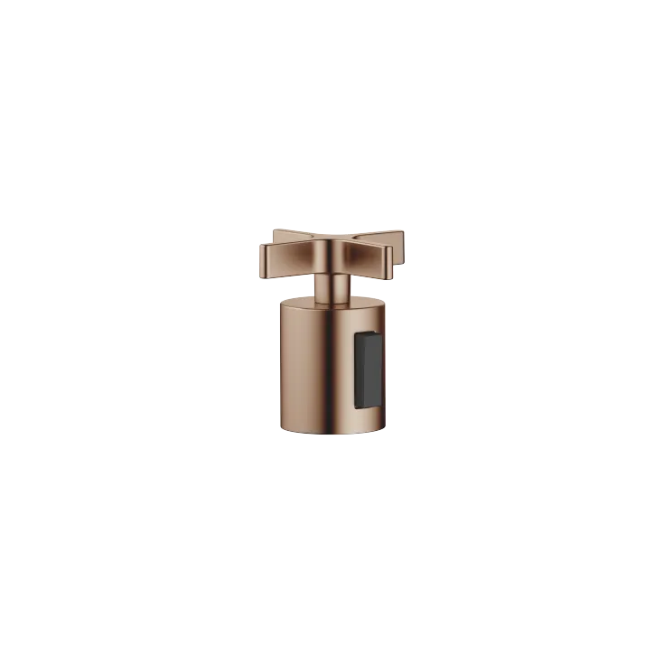 VAIA Brushed Bronze : Regulator handle