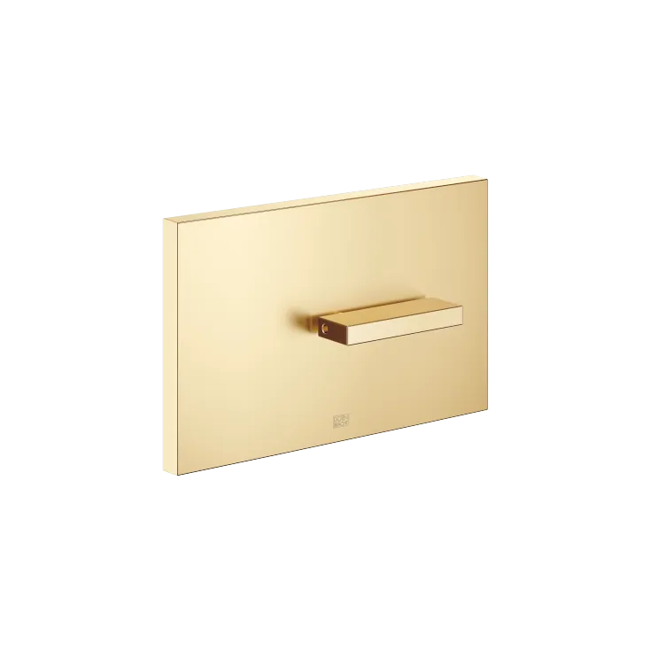 SERIES-VARIOUS Brushed Durabrass (23kt Gold) : Cover plate for the ...