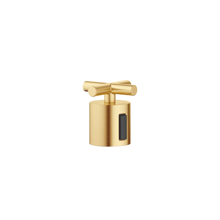 TARA Brushed Durabrass (23kt Gold) Miscellaneous: Regulator handle