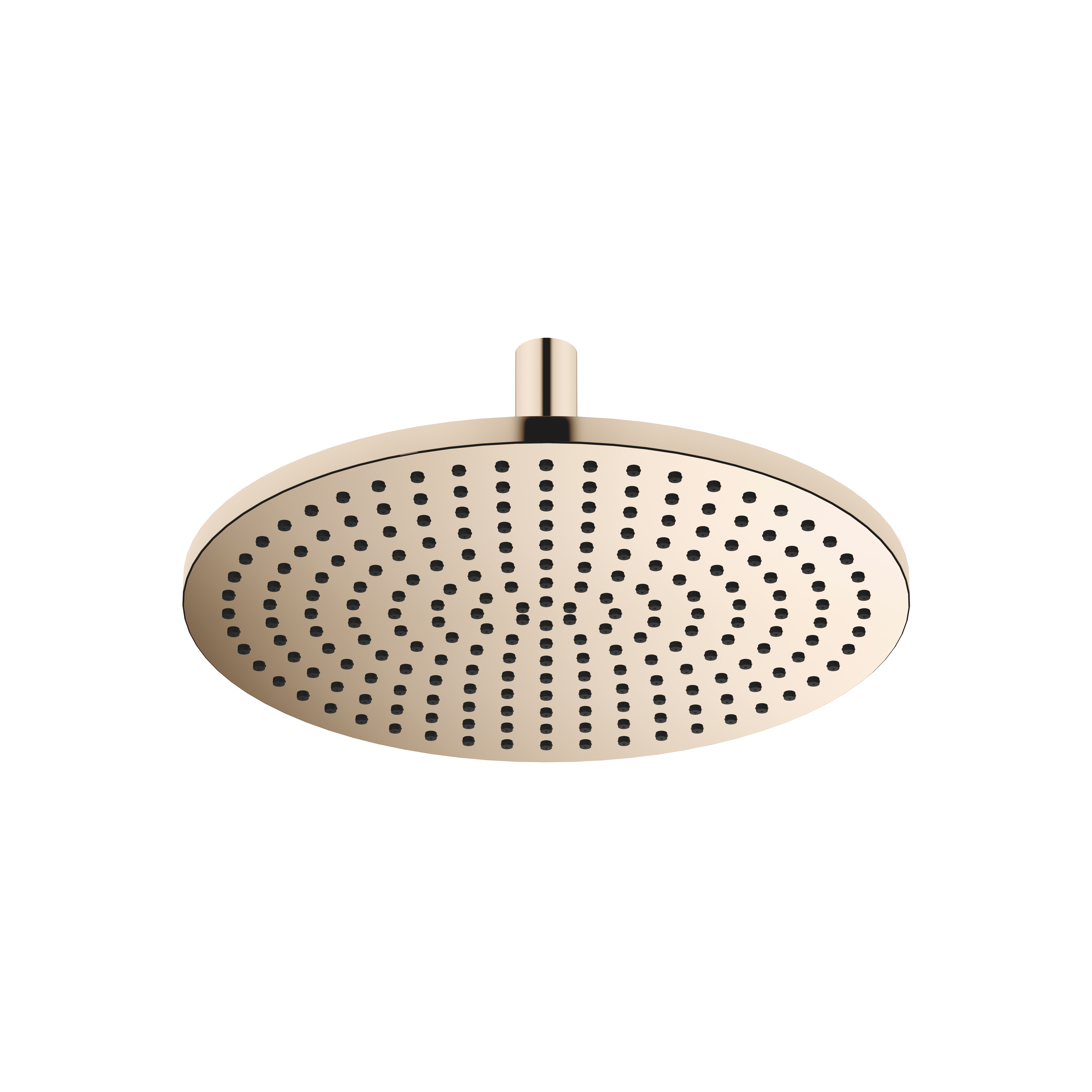SERIES SPECIFIC Light Gold (PVD) : Rain shower with ceiling fixing ...