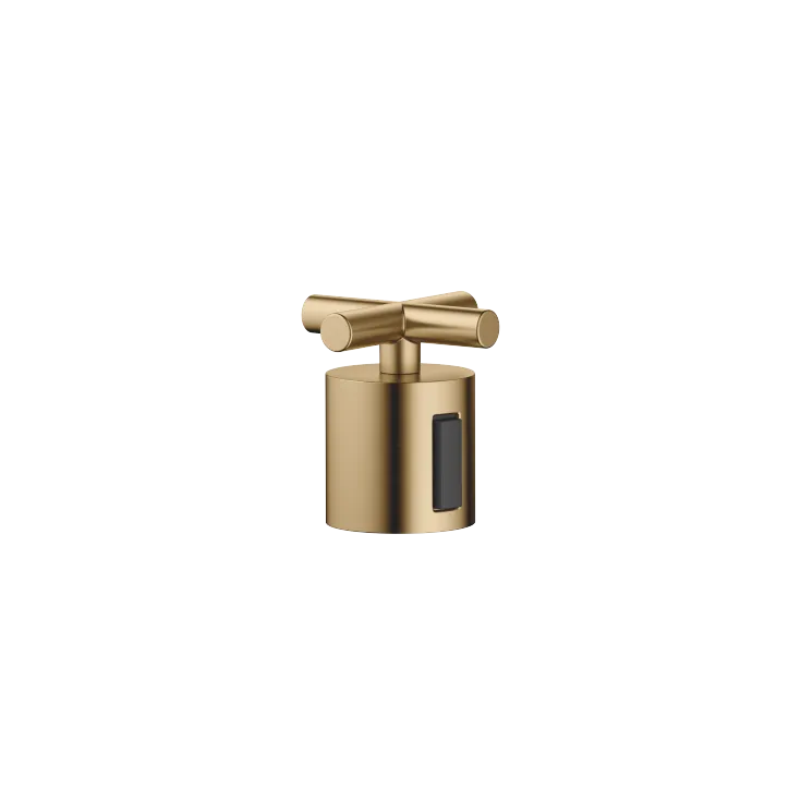 TARA Brushed Dark Brass (PVD) : Volume control handle