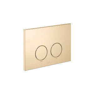 SERIES SPECIFIC Durabrass (23kt Gold) Miscellaneous: Flush plate for ...